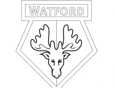 Colouring In - Junior Hornets